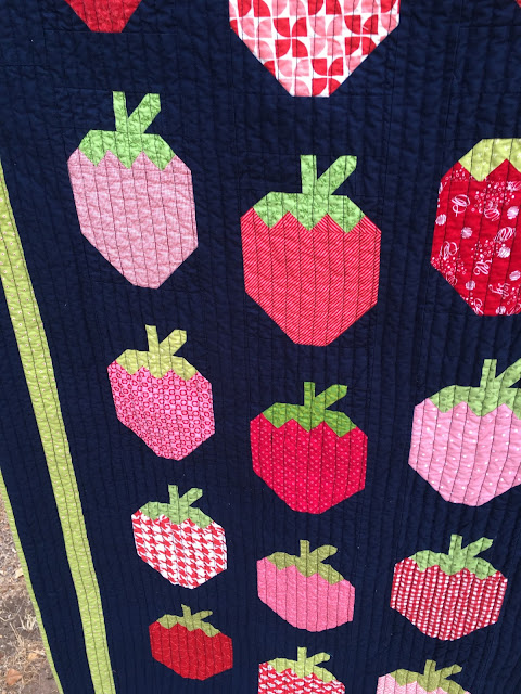 Tanya Quilts in CO: Strawberry Social Quilt