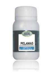 HPA JAMBI: Pelawas