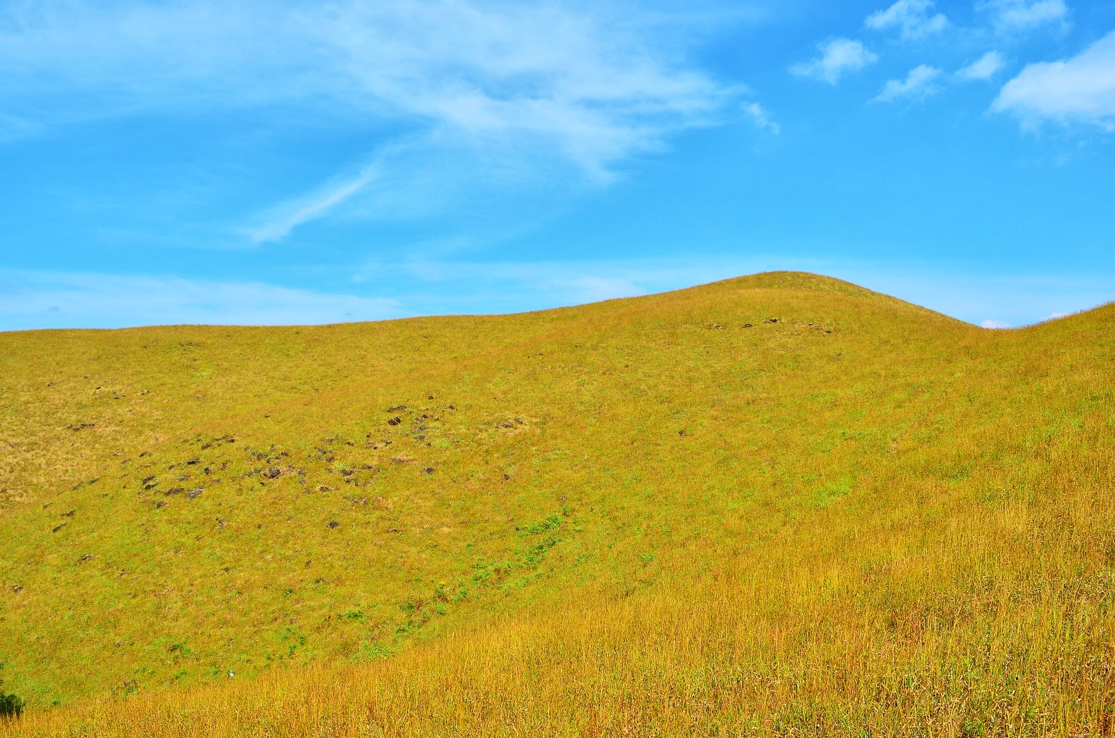 Sharath Hassan A Travelling Photographer: JENUKALLU GUDDA (JENUKAL ...