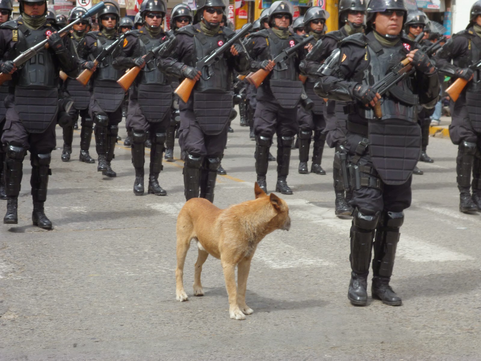"Group 10 Noticías-Huancayo": La Suat de la Policía Nacional sera ...