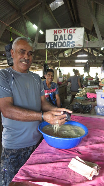 A Human Geographer in Fiji: Grog - groggy - Kava - Yaqona - Piper ...