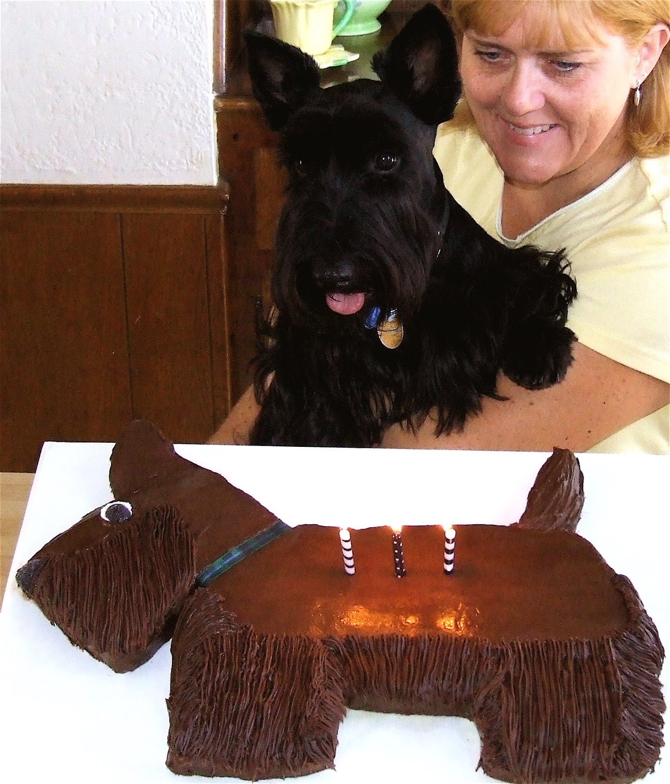 Honeycomb : Scottish Terrier cake!