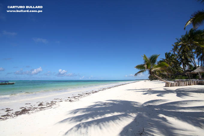 Llegando a la Isla de Zanzíbar, Un Paraíso en el Mar Indico : Viajes ...