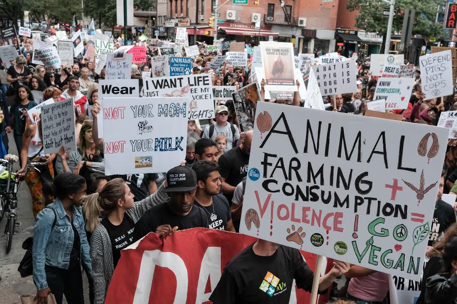 EV Grieve: At the Official Animal Rights March