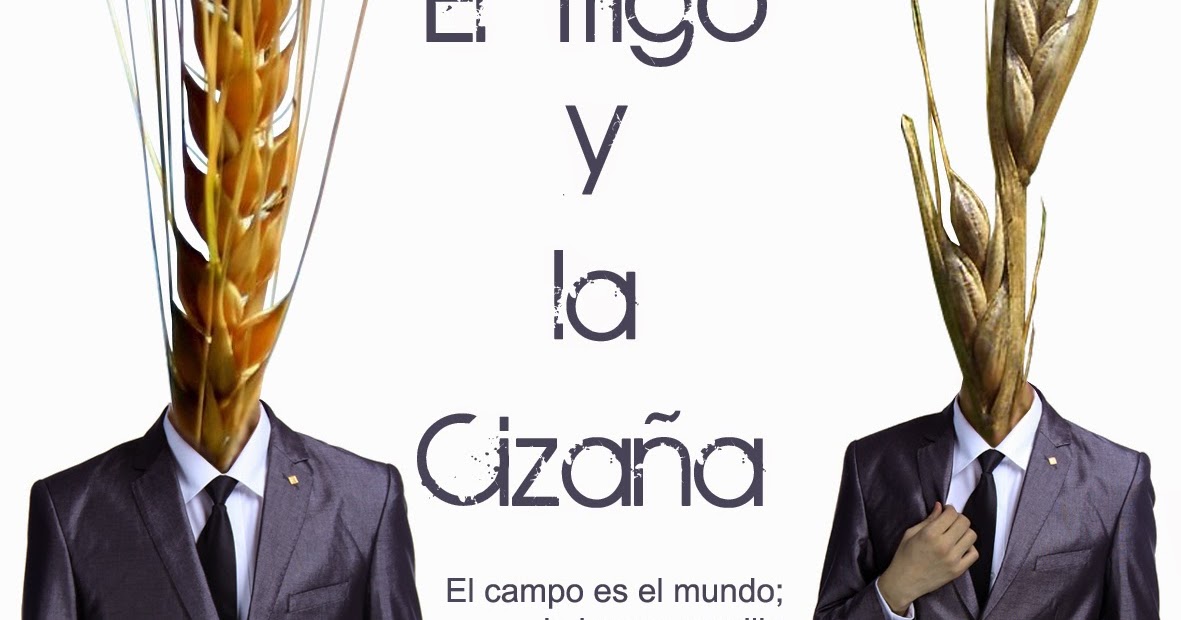 iPriest. Soñad y os quedaréis cortos: ¿Trigo o cizaña?