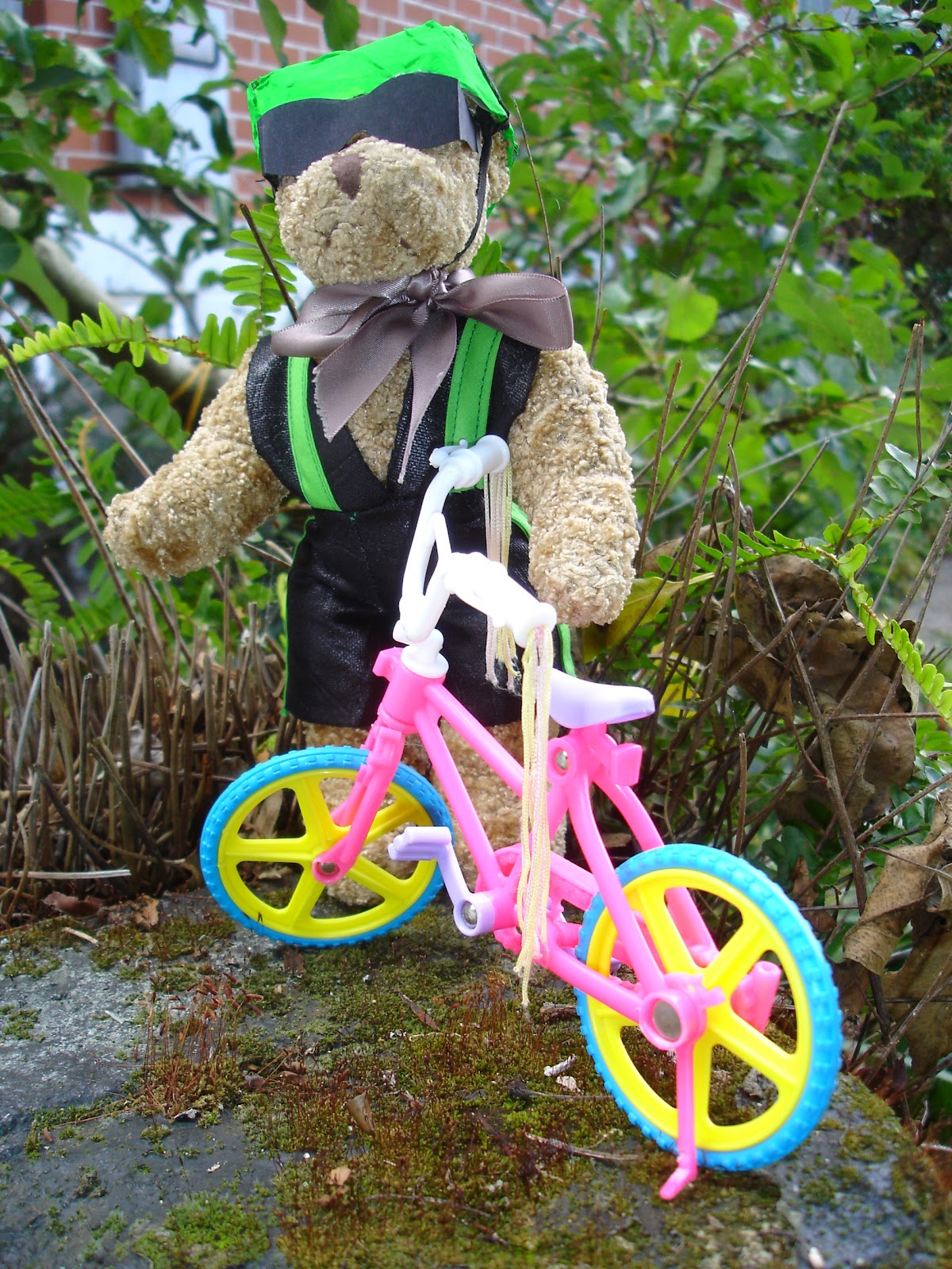 Room 1 at Firth Primary School: Meet Max