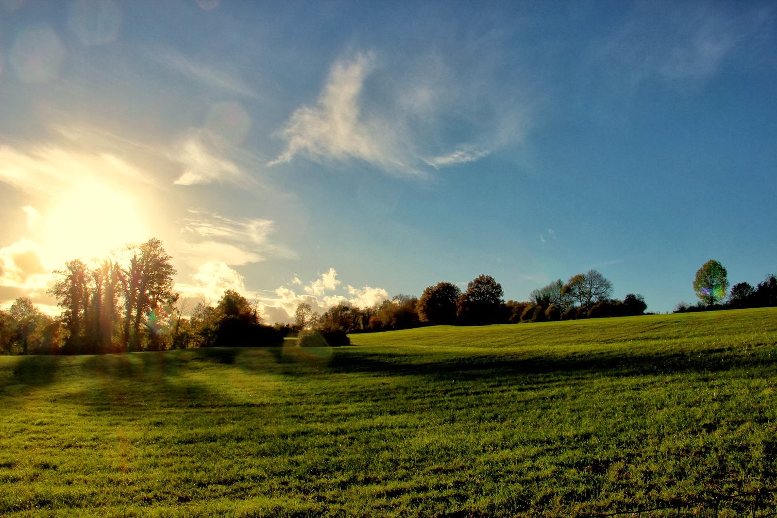 LA NORMANDIE EN PHOTOGRAPHIE: Une prairie en Hiver - près de Gacé - Orne