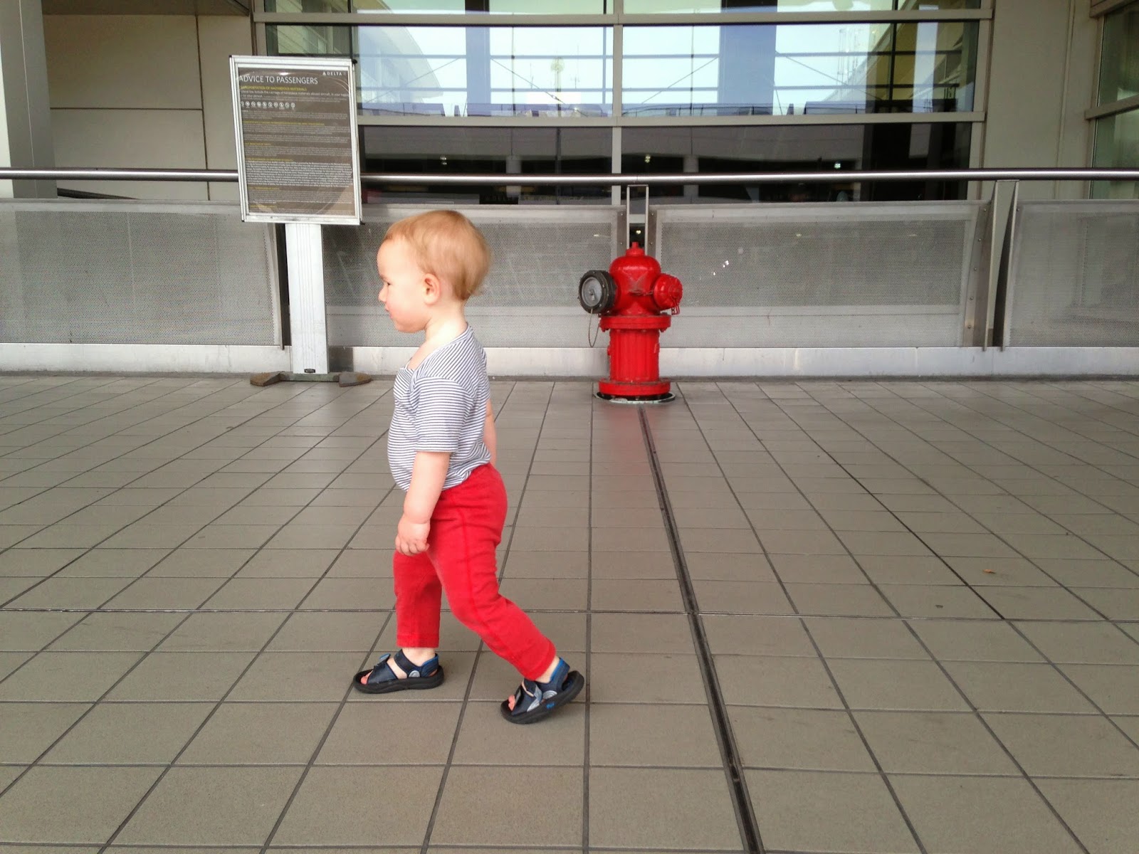 alejandro hartmann: 2014