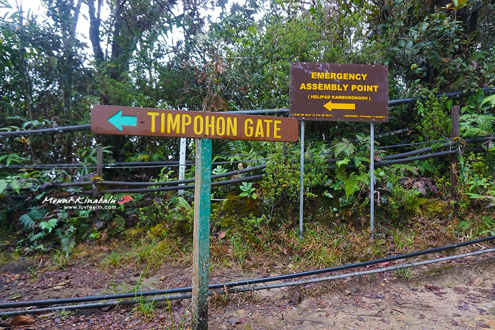 【Mount Kinabalu 神山】Timpohon Gate - Laban Rata 雨天下的六公里泥梯 - 乐飞翎 ♥ LUVFEELIN