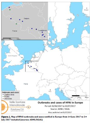 Avian Flu Diary: ESA Epidemiological Update: HPAI H5 Clade 2.3.4.4 ...