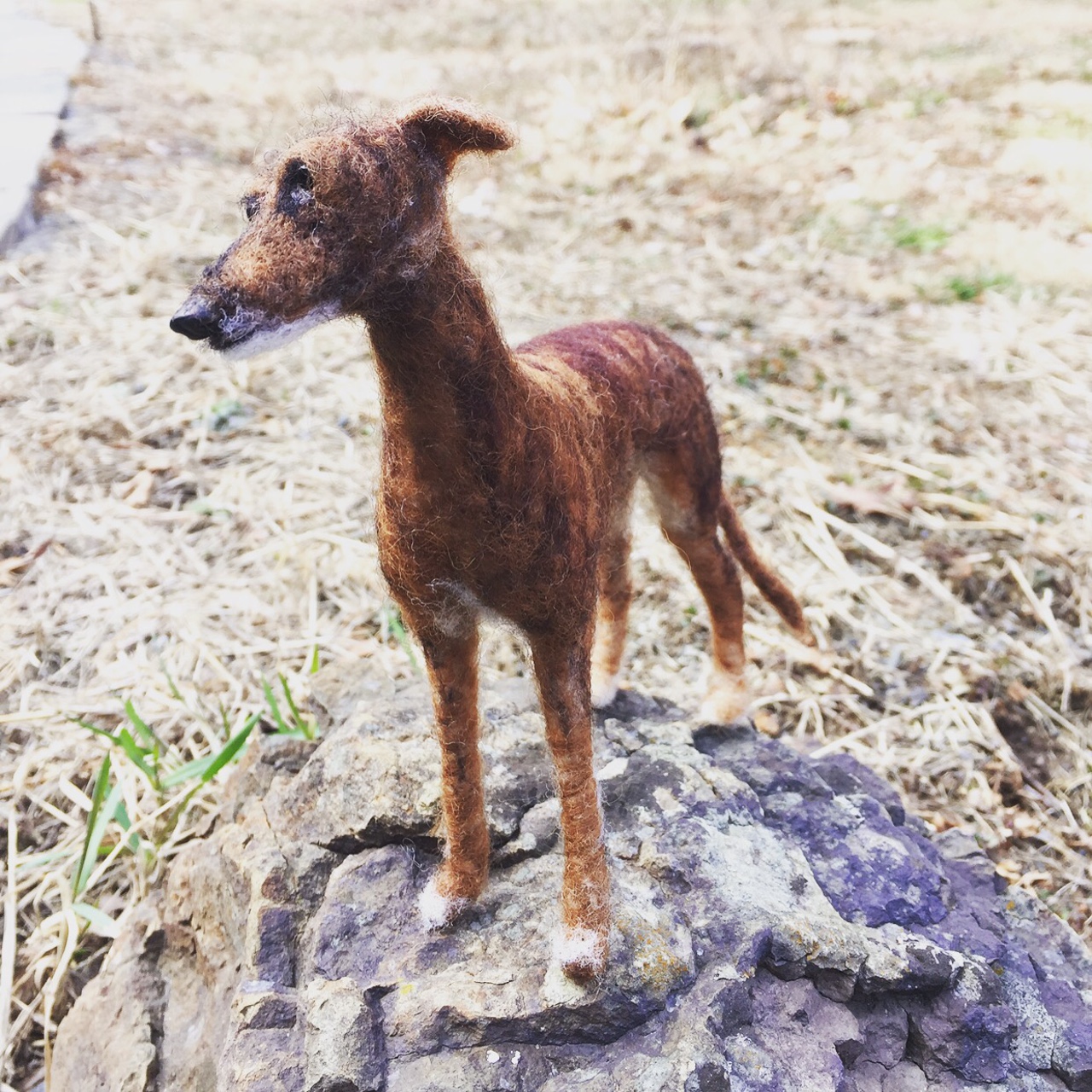 FACCI DESIGNS: Needle Felted Greyhound