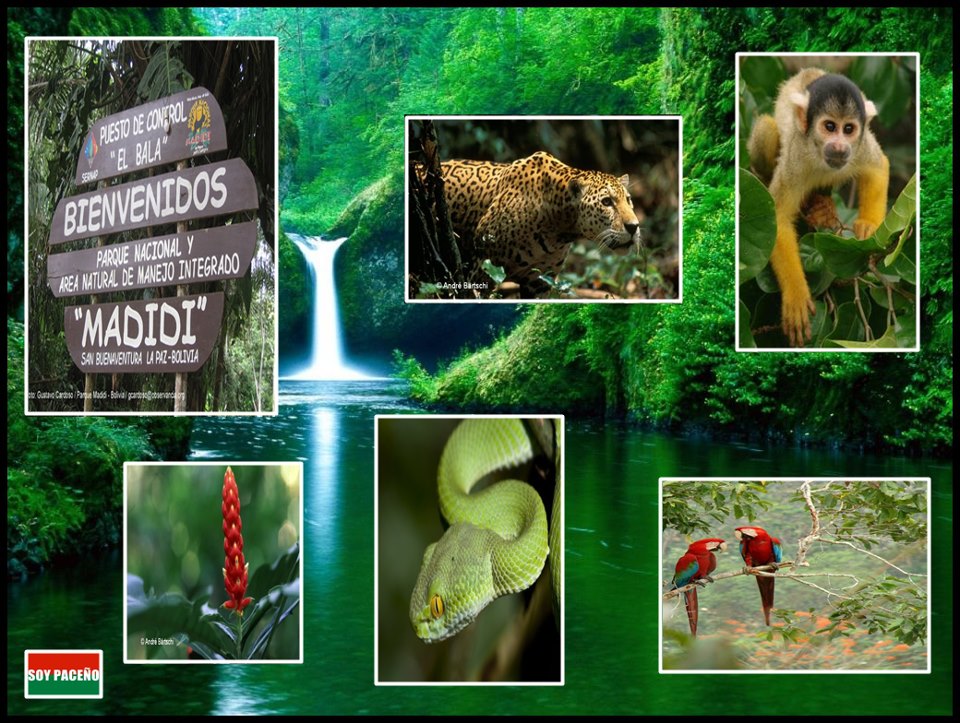 La Paz Bolivia - La Paz del Bicentenario: Destinos turisticos Parque ...