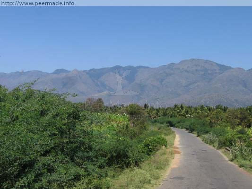 Serendipity Uploaded: Attapadi