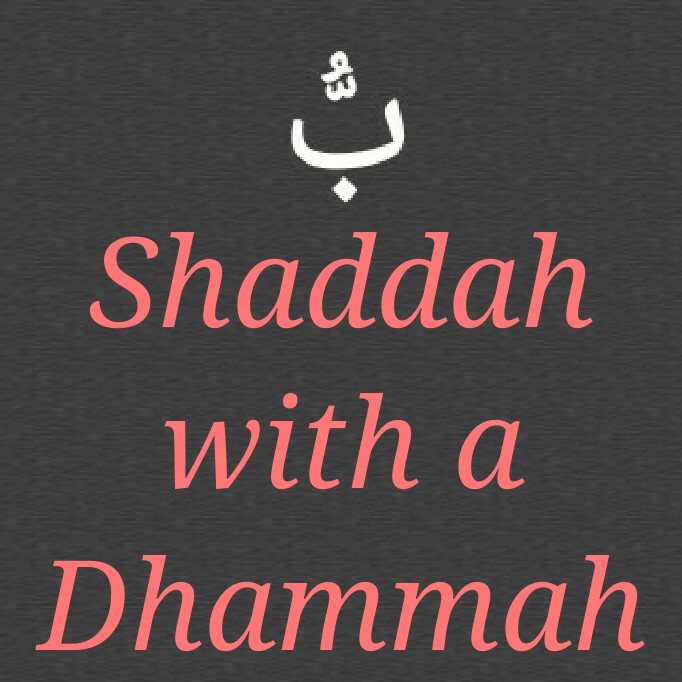 Arabic Vowel - Shaddah-the symbol for Emphasis - Arabic Grammar Basics