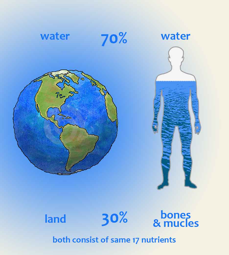 "UnderStand your Body, you will understand the Universe"