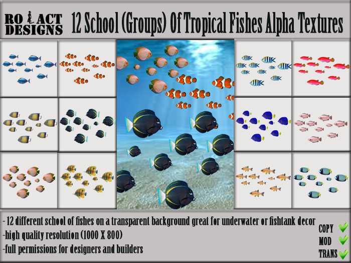 Ro!Act Designs: ..::RO!ACT::..DESIGNS 12 Schools (Groups) Of Tropical ...