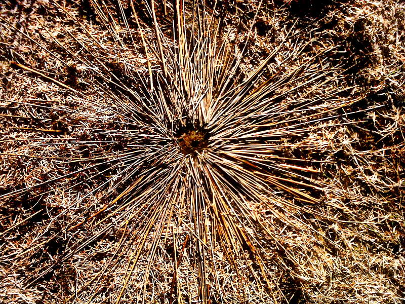 Land Art South Africa: Land Art by Annie le Roux