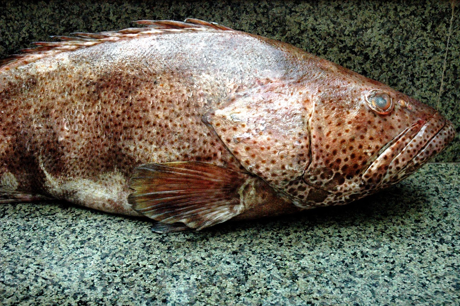 DUDE FOR FOOD: Flavors of Palawan: Discover The Last Frontier at San ...