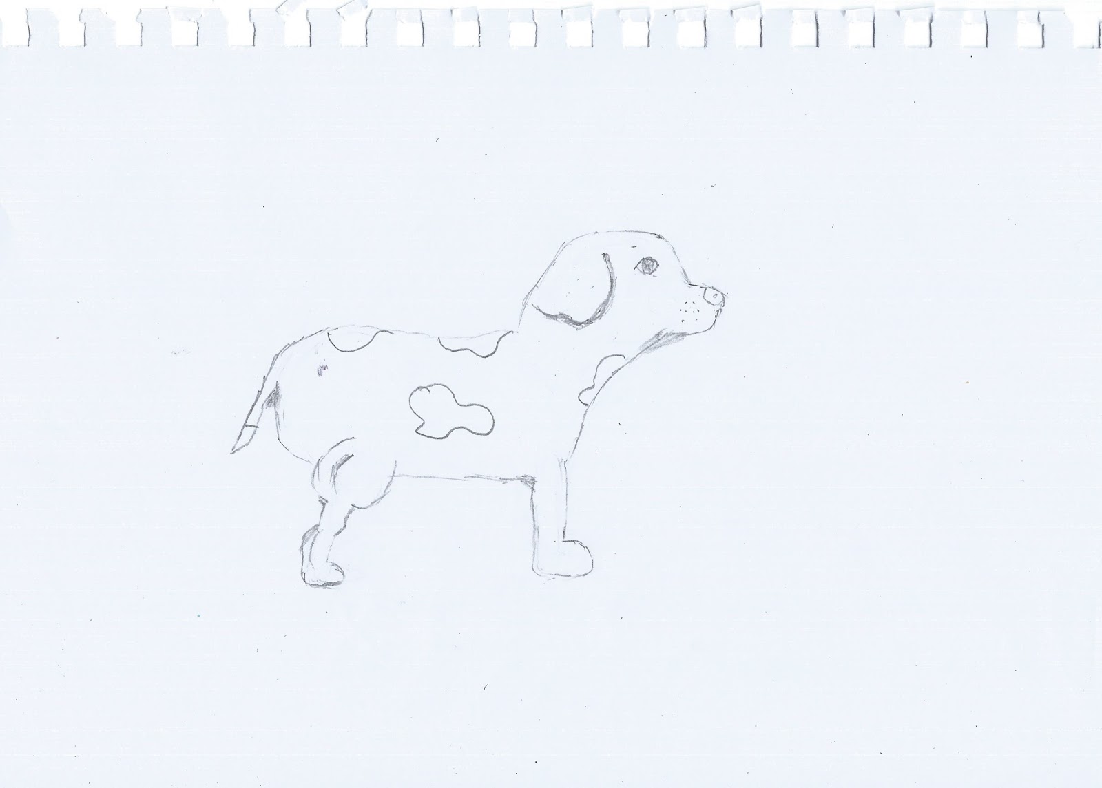 Drawing With Hayden: How To Draw A Dog: Standing SideView
