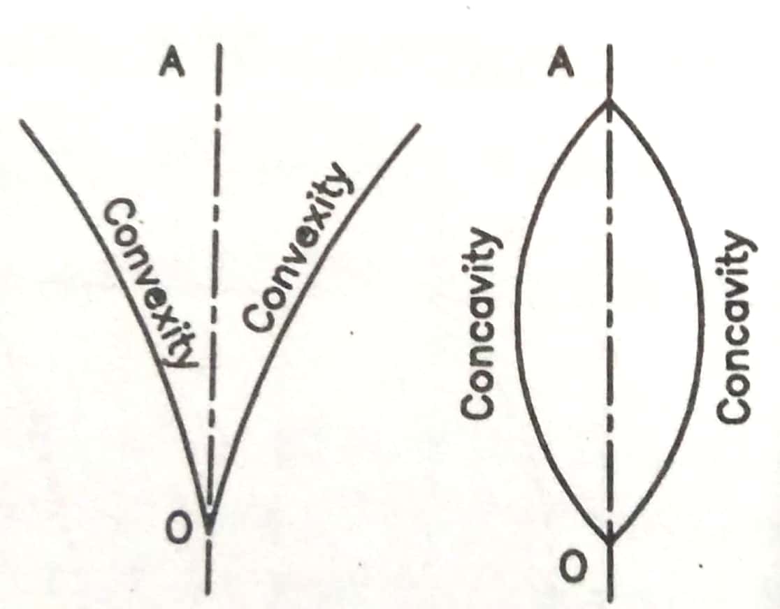 Strength of Material: Columns and Struts