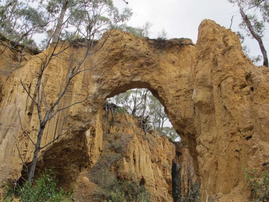 Old writer on the block: Back from a bit of field work.