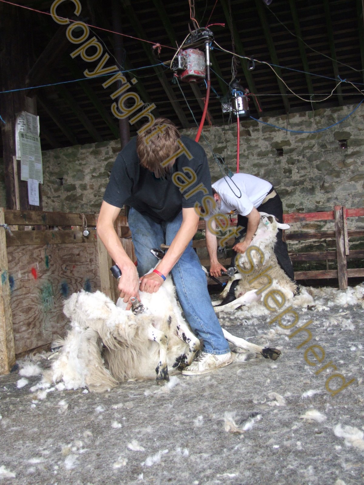 Shepherd's blog: July 2011