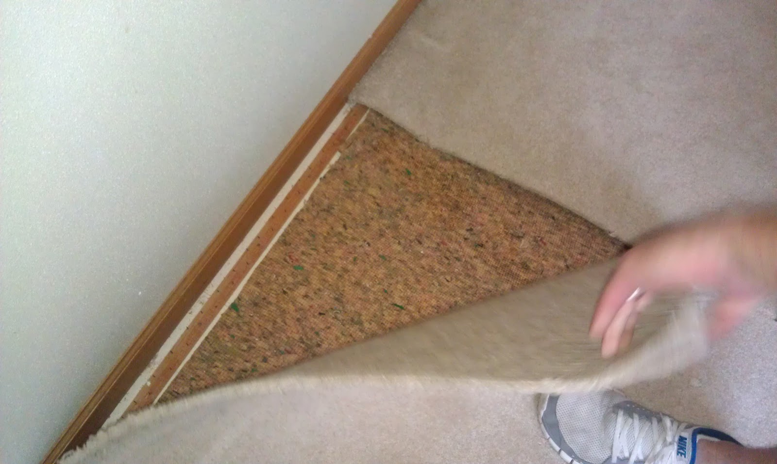 First House Love: Tearing Up the Floor