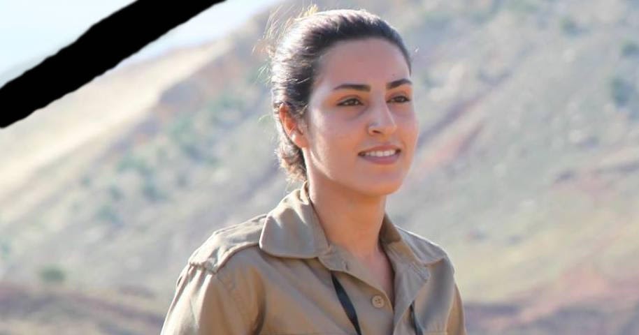 A young woman named Roya hashemi who previously worked with the Iranian ...