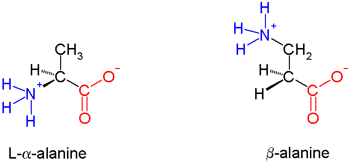 TUDO SOBRE A BETA-ALANINA E SUA SUPLEMENTAÇÃO – PARTE 1 | ENSINANDO ...