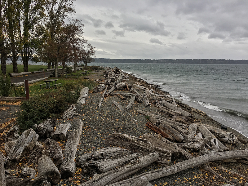 Kayak Point Regional Park | SnoCo Scout
