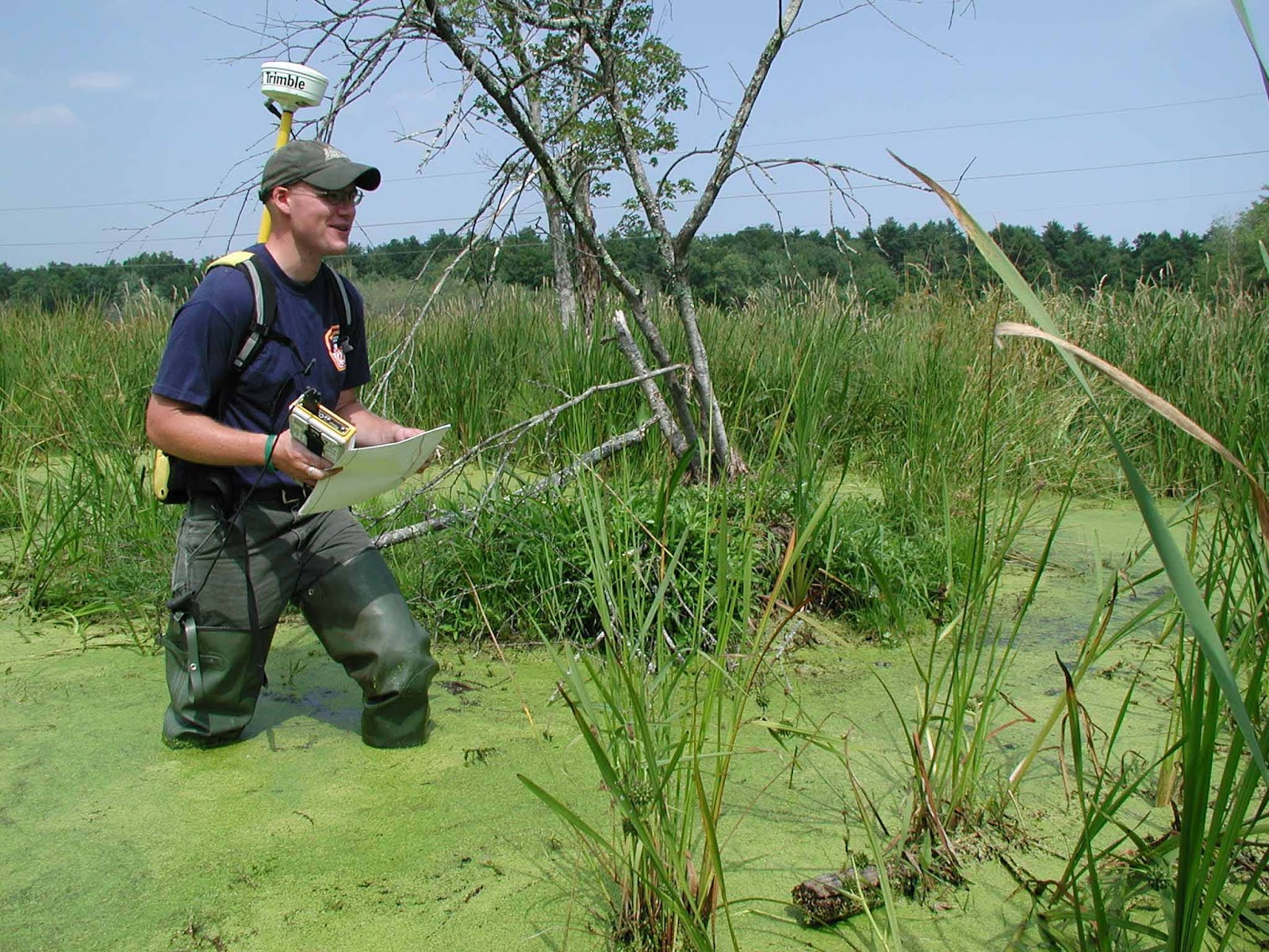 Civil Engineering Now: The Consequences of Wetland Drainage
