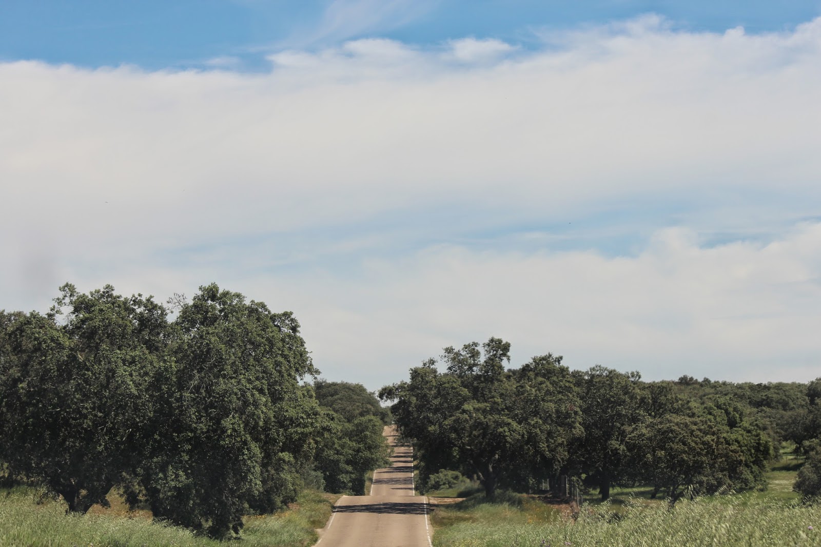Historia y Genealogía: Monforte. Alentejo. Portugal