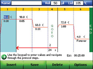 Peggy's Intern Diary: Accuzyme PCR and Gel Preparation