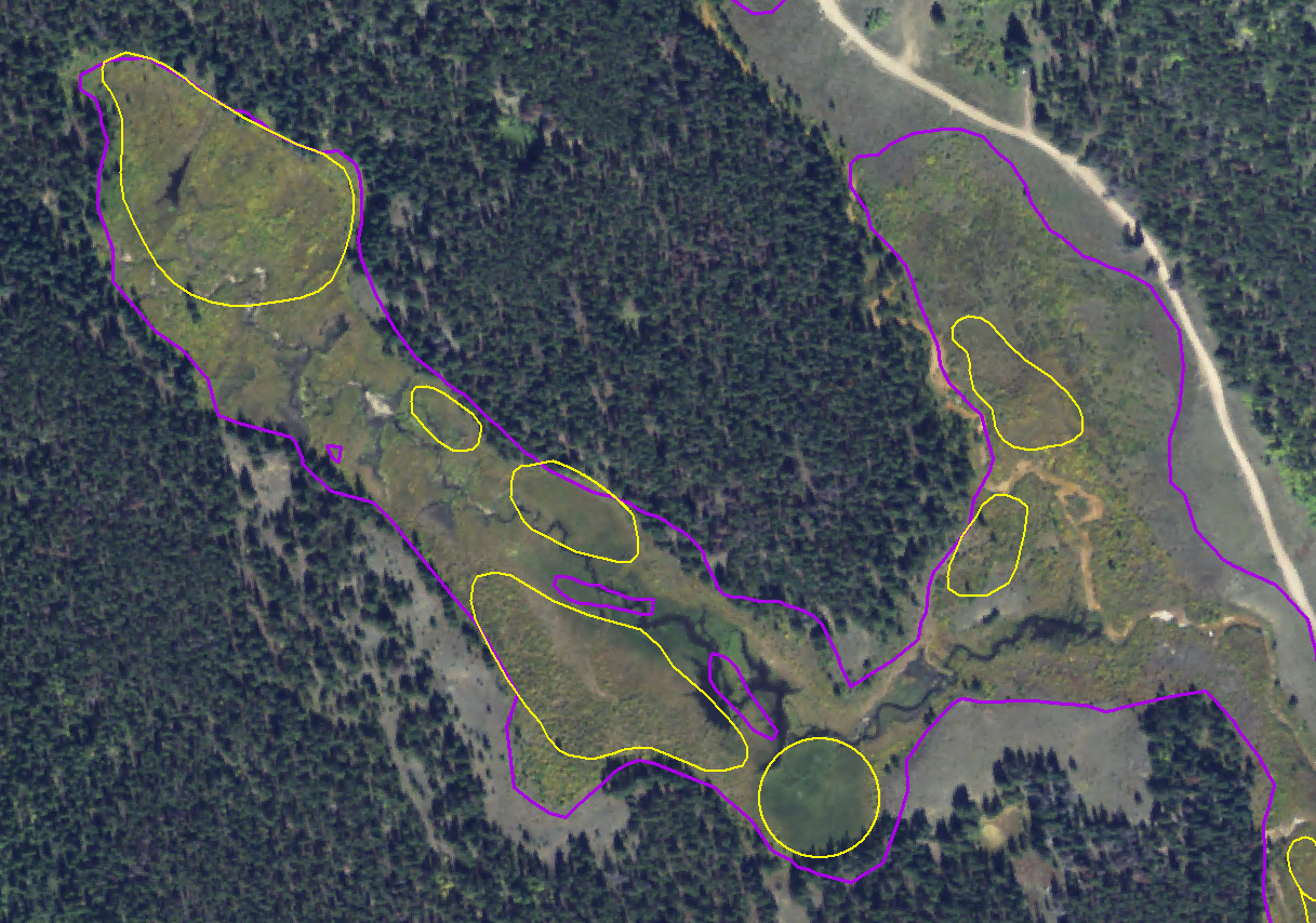 CNHP Blog: Fen mapping at the Pike and San Isabel National Forests