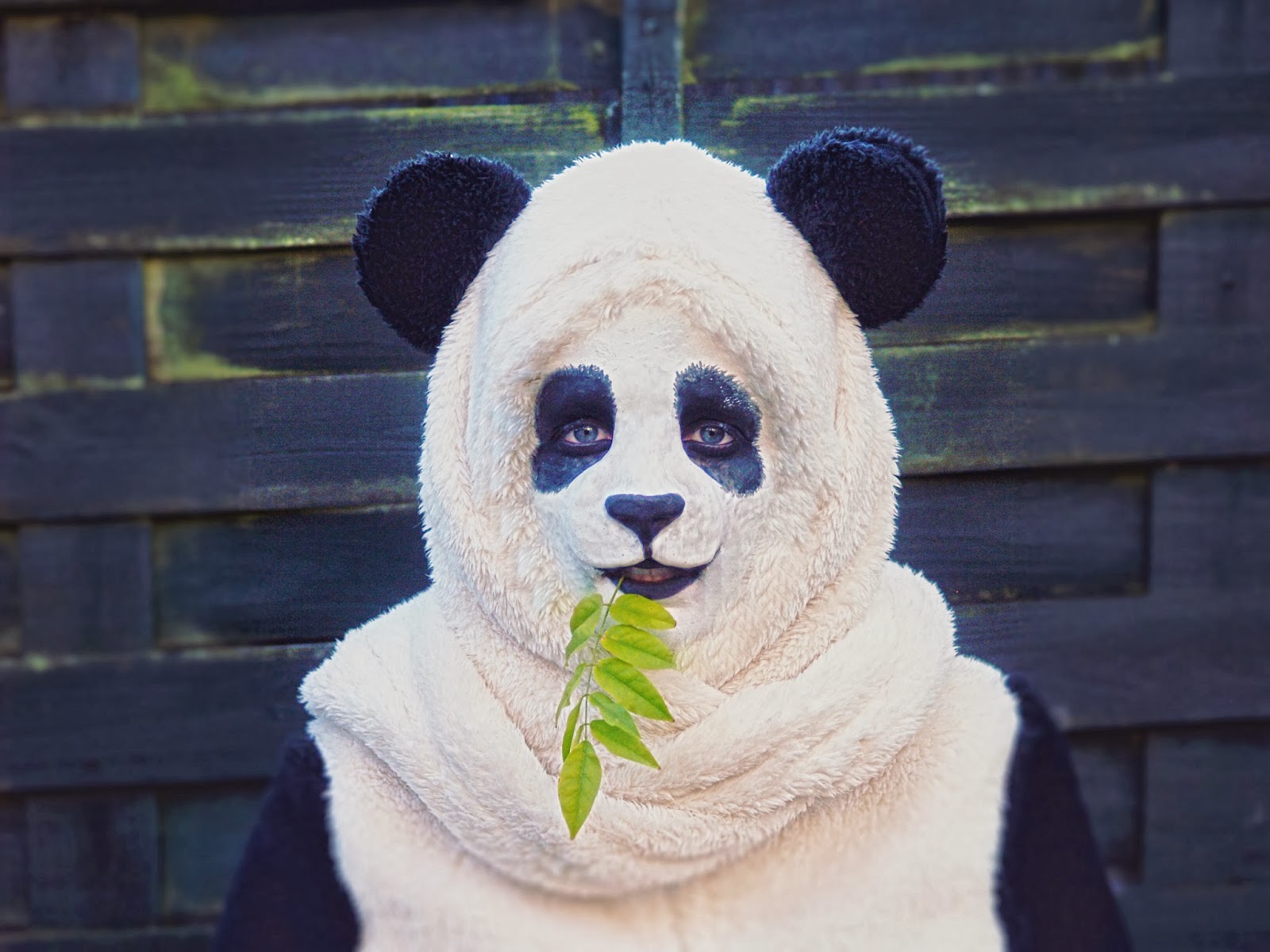 Make-up, Grime en fotografie: Panda beertje