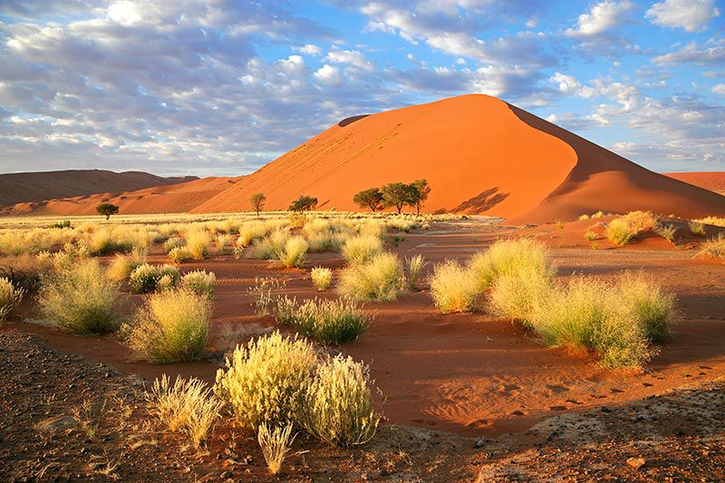 Namibia Reservations: Sossusvlei