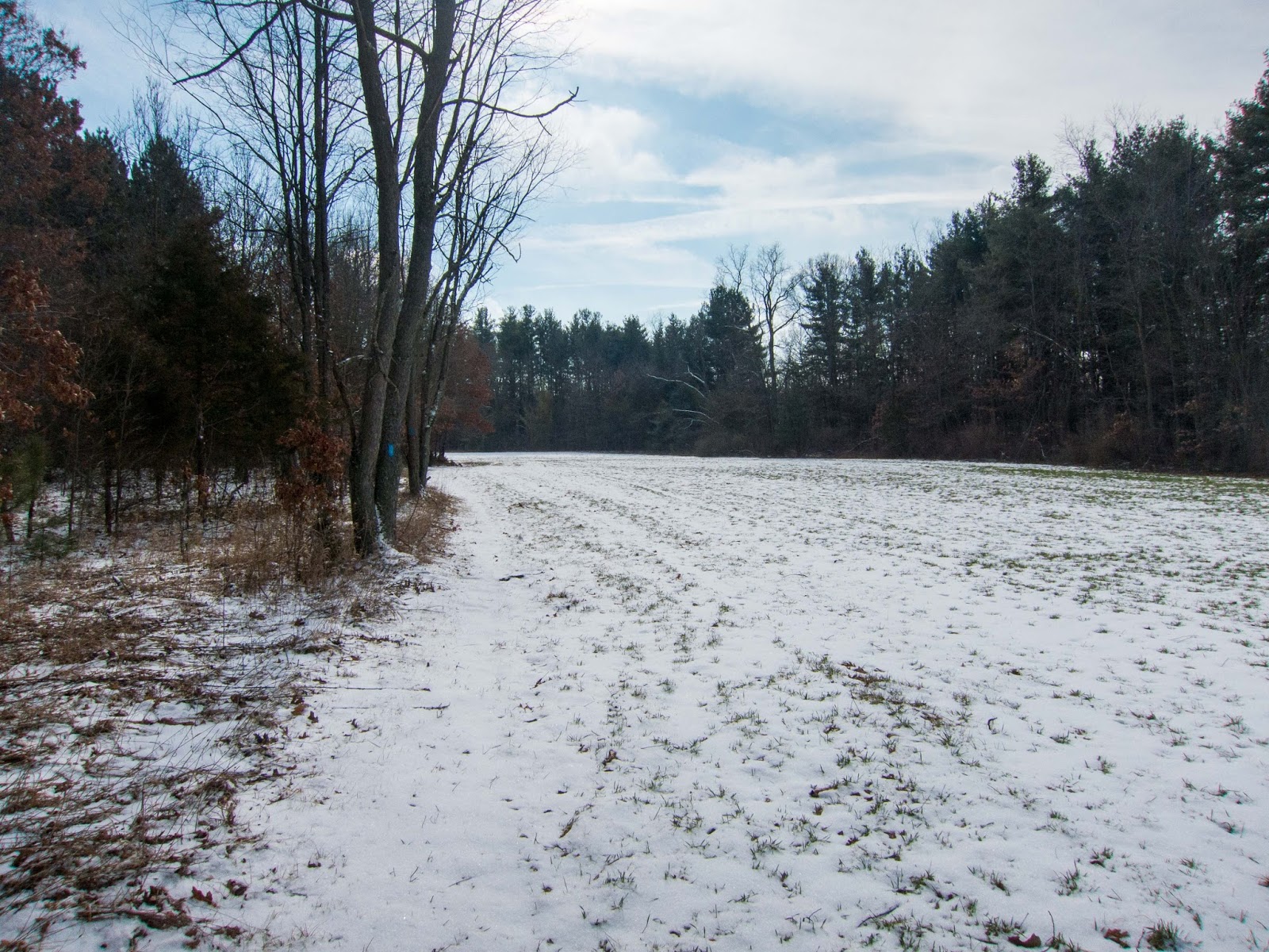 Eric's Hikes: North Country Trail between Middleville and Barry State ...
