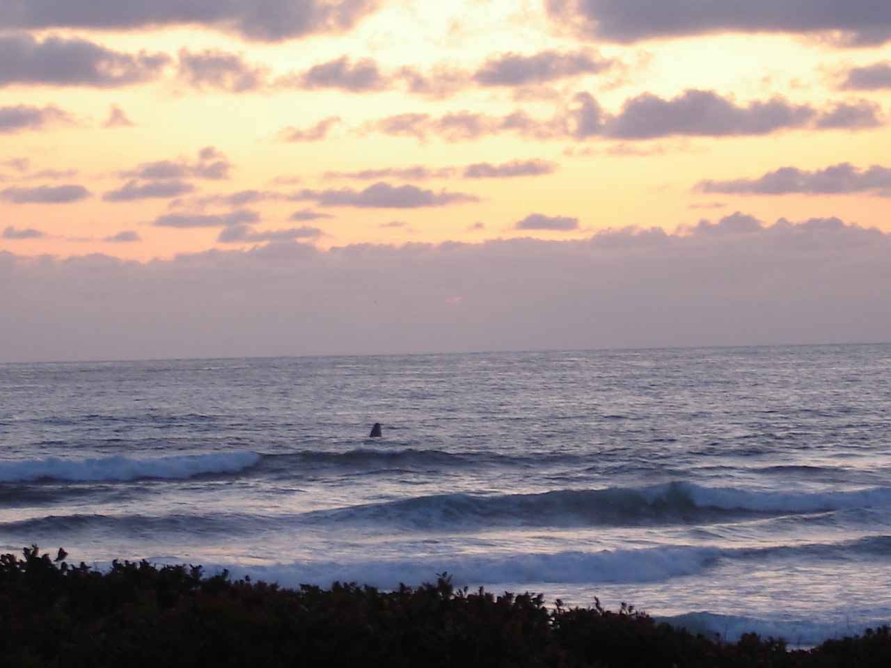 J and B and Lady Blue: Mid Coast of Oregon