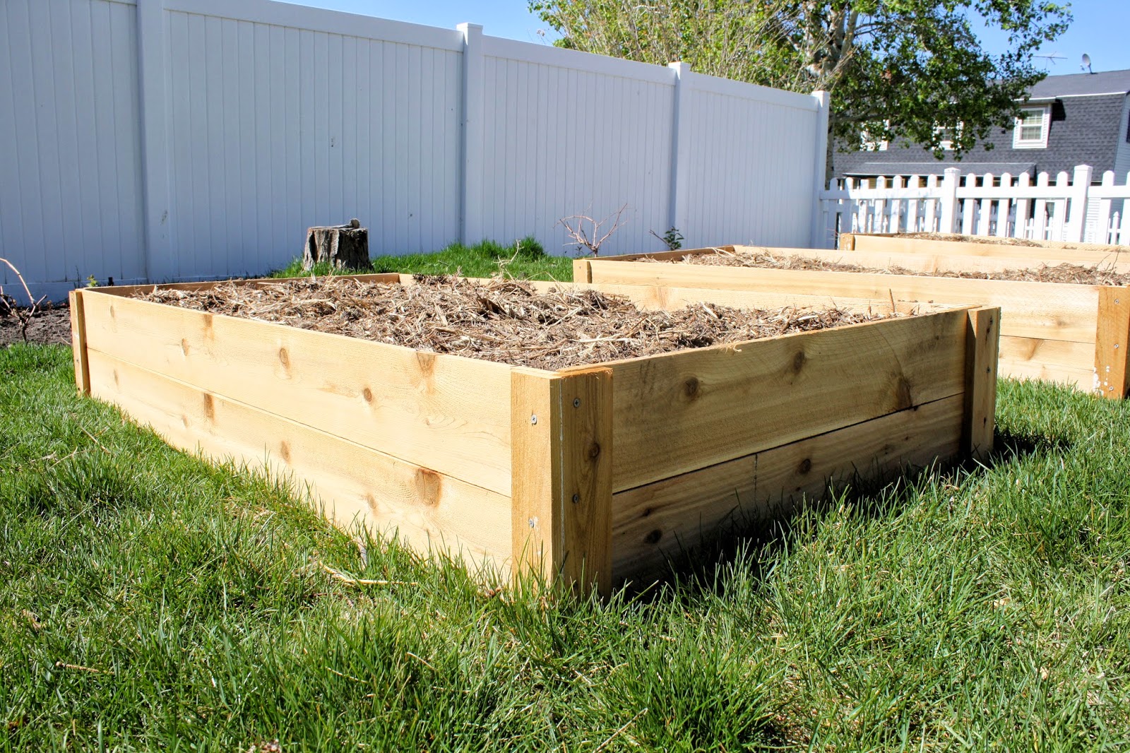 Running With Scissors: 14 Cedar Garden Boxes