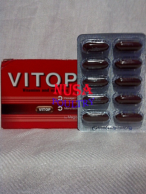 OBAT & MULTIVITAMIN : ** VITAMIN & MULTIVITAMIN AYAM