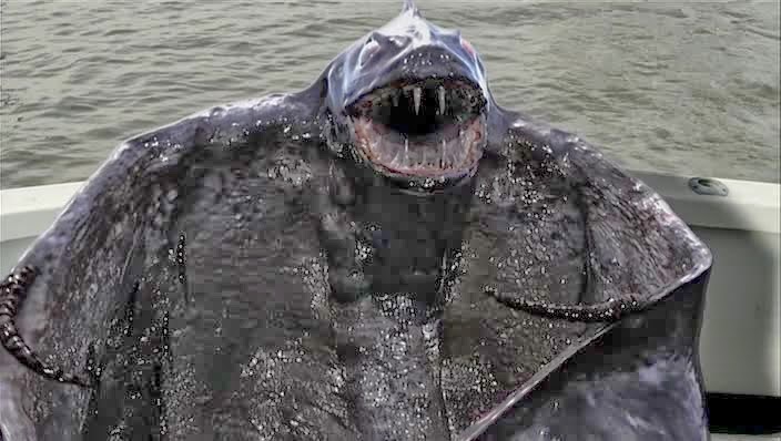 Recensione film : Beast of the bering sea (2014)