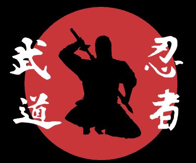 Bujinkan Budo Taijutsu - San Luis: Historia del Ninjutsu