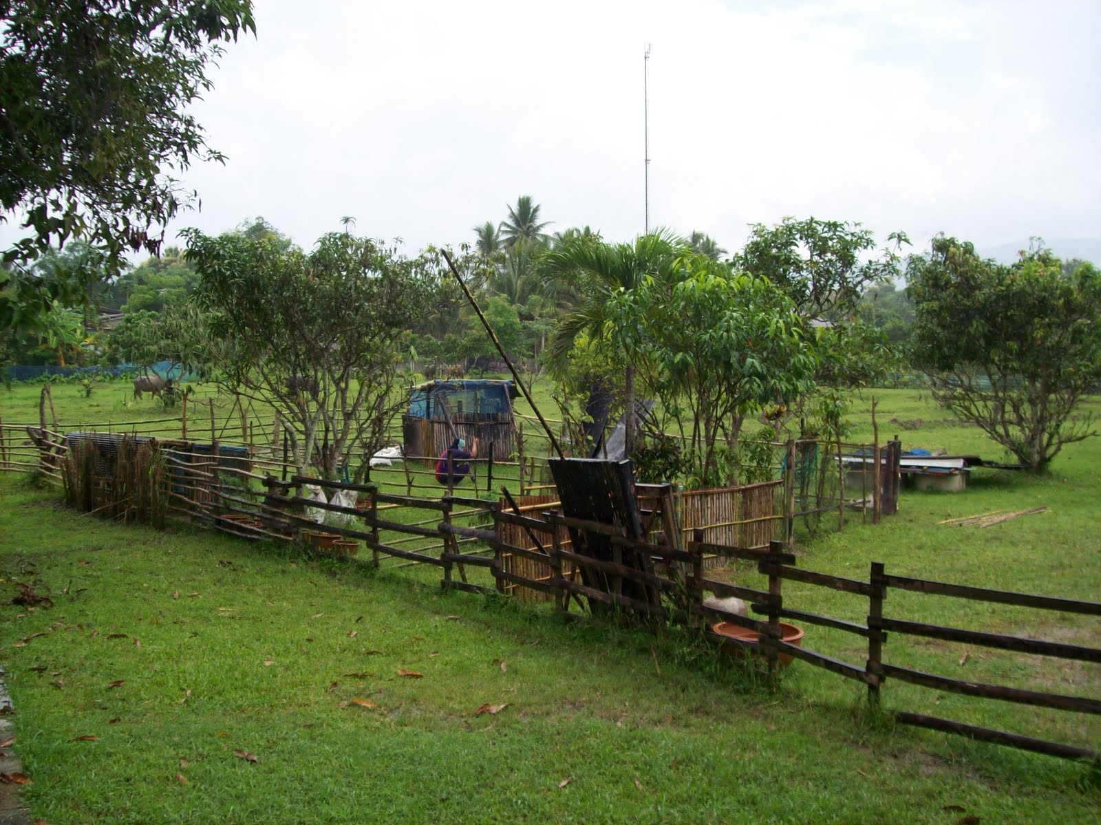 One Voice for Animals: Moving Sanctuary- 50 animals need new homes built.