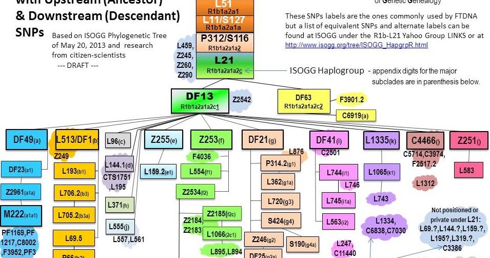 Scottish DNA Project Blog: Haplogroup R1b marker L1335