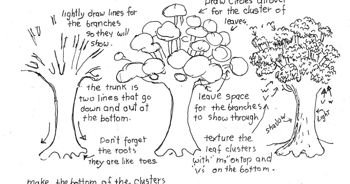 How to Draw Worksheets for The Young Artist: How To Draw A Nice Tree ...