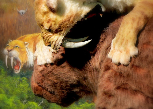 THE SABER-TOOTHED TIGER |The Garden of Eaden
