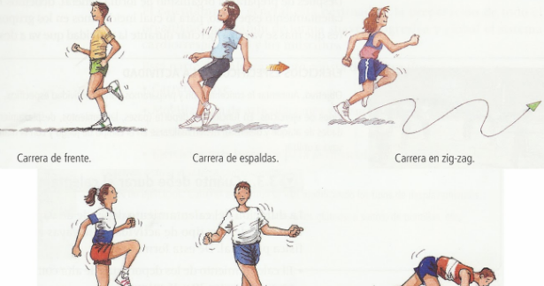 LA ACTIVACIÓN CORPORAL (EL CALENTAMIENTO) (Refuerzo Grado Séptimo - 3 ...