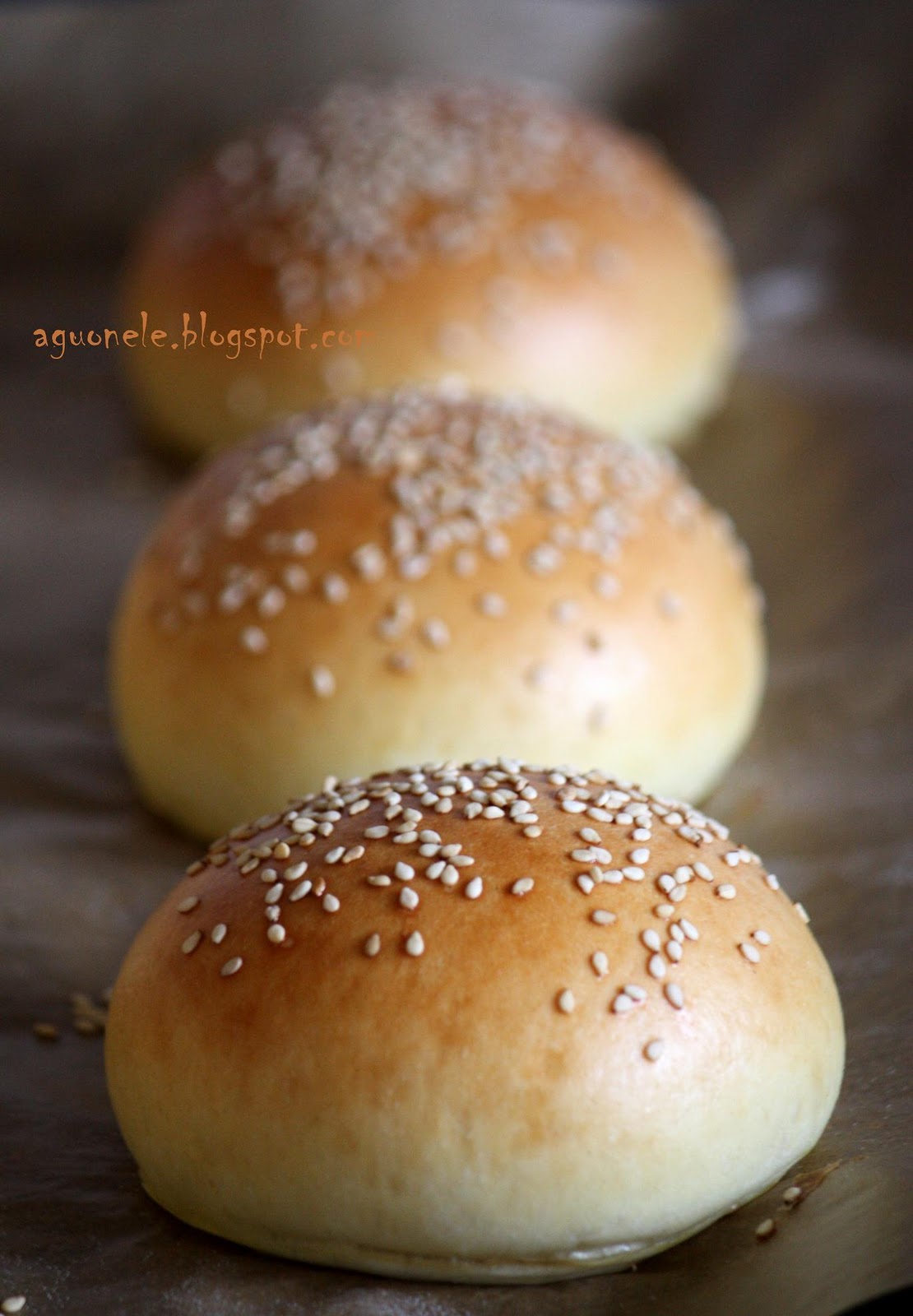 aguonėlė: Hamburgerių bandelės