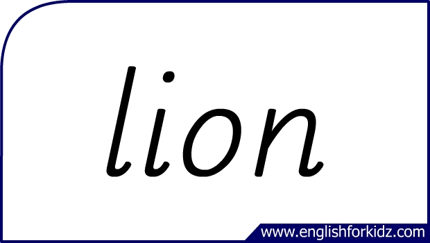 Wild Animals Flashcards