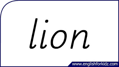 Wild Animals Flashcards